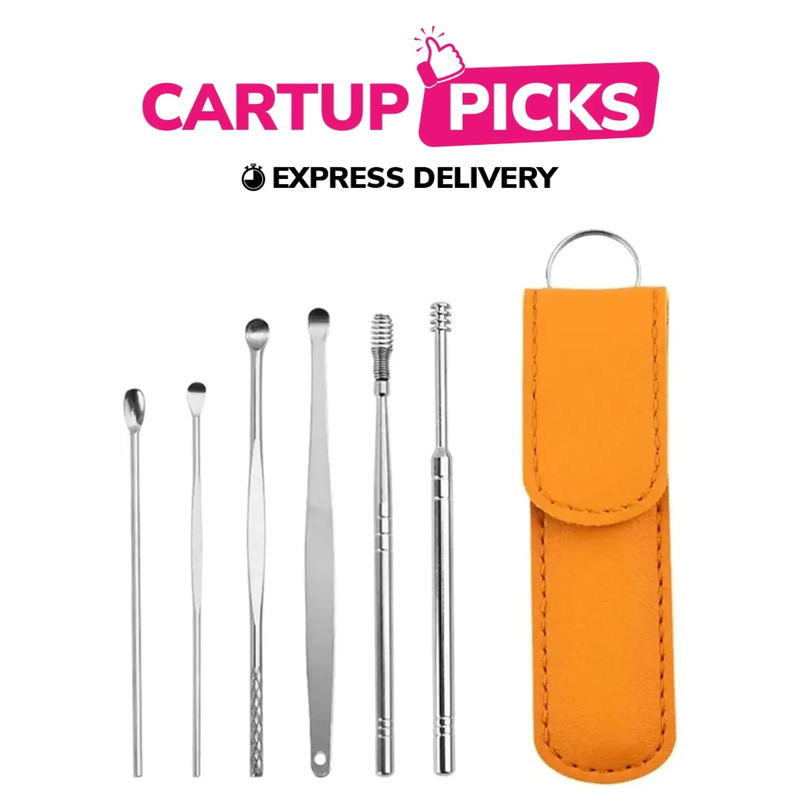Progressive - 6 Pieces Stainless Steel Ear Pick Set With Lather Case ...